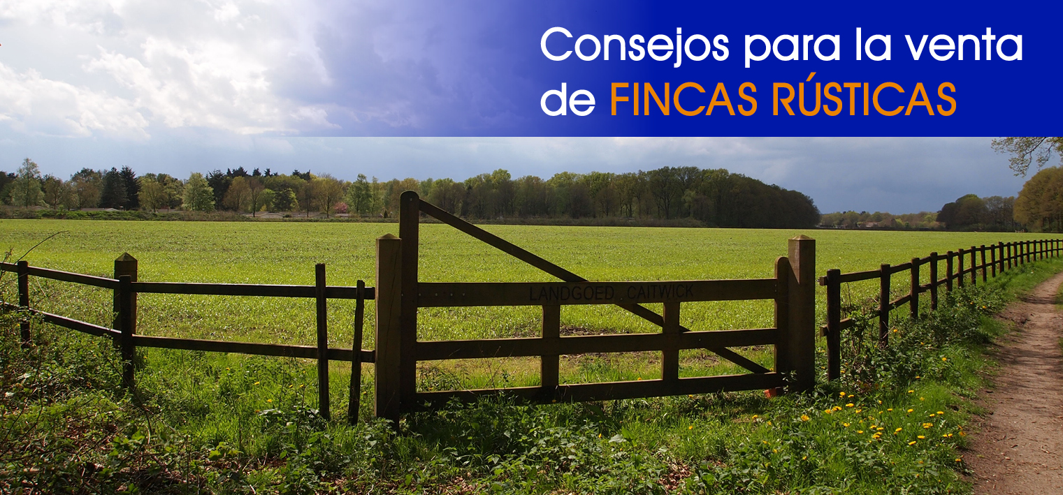 CONSEJOS PARA LA VENTA DE UNA FINCA RÚSTICA – Blog